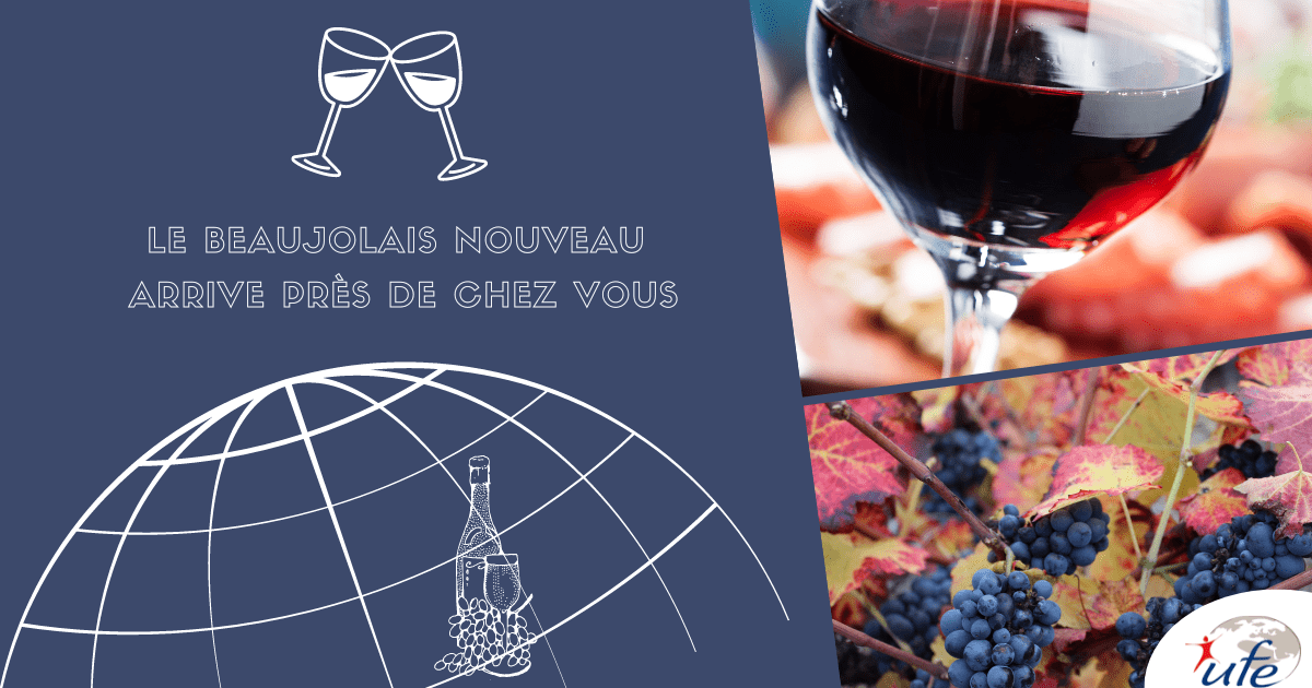 Où célébrer le Beaujolais nouveau dans le monde ? - UFE
