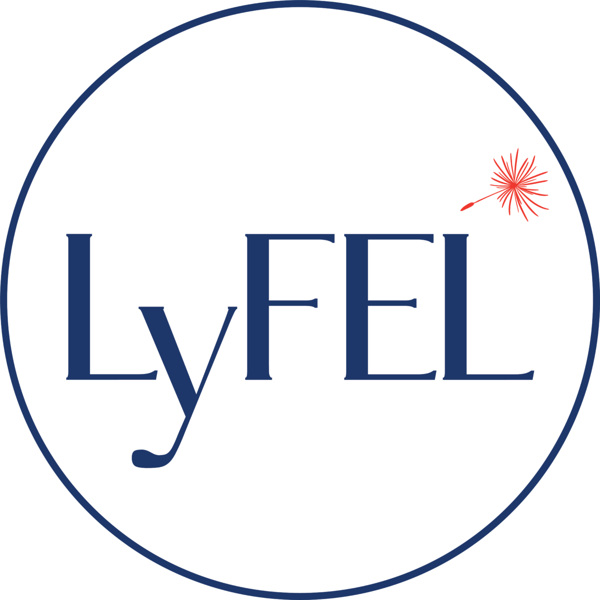 Une école française en ligne - UFE