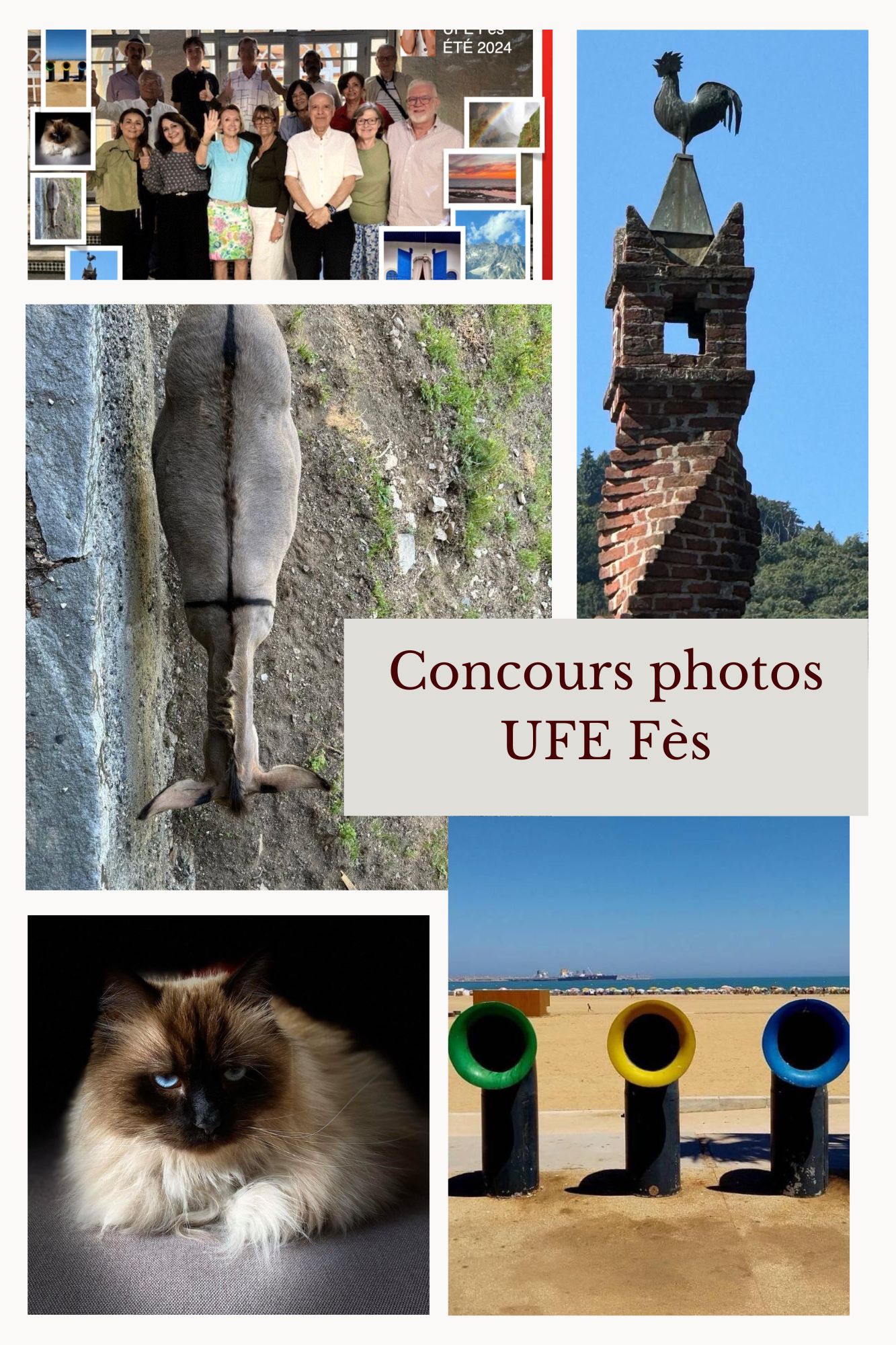 L'UFE dans le monde - UFE